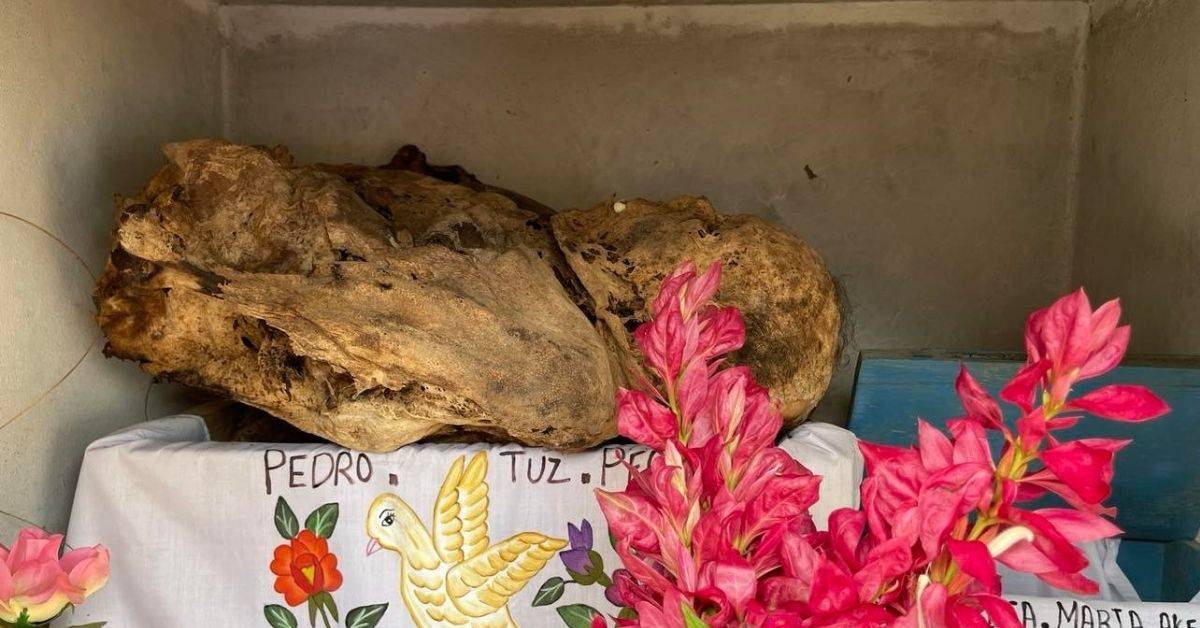 The Day of the Dead Ritual of Cleaning the Bones in Campeche, Mexico ...